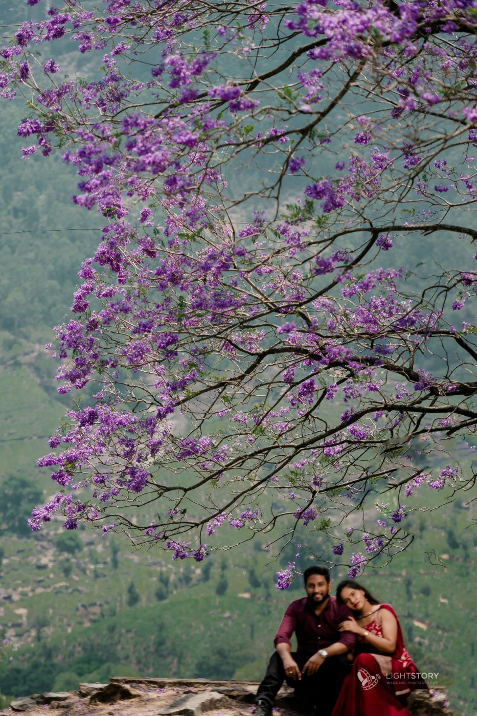 Best Photoshoot Location at Munnar | The Magic of Purple Jacaranda Blossoms